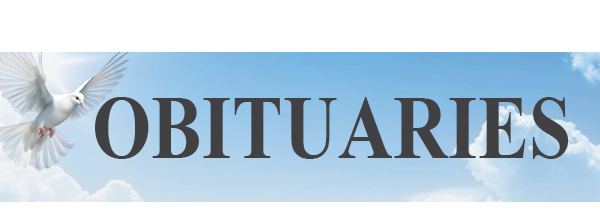 Friends of Townsend Fire purchase new extrication tools from its ...