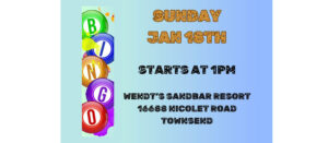 Bingo at Wendt’s Sandbar Resort - Sun., Jan 18 - Nicolet Express